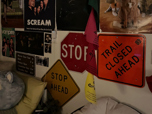 Stop Sign - Aesthetic Road Signs - Room Decor – Reawaken Theory